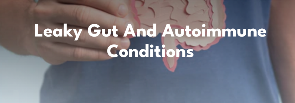 Leaky Gut And Autoimmune Conditions – Sask Naturopath