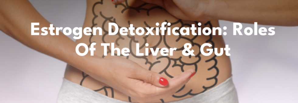 Estrogen Detoxification: Roles Of The Liver & Gut – Sask Naturopath